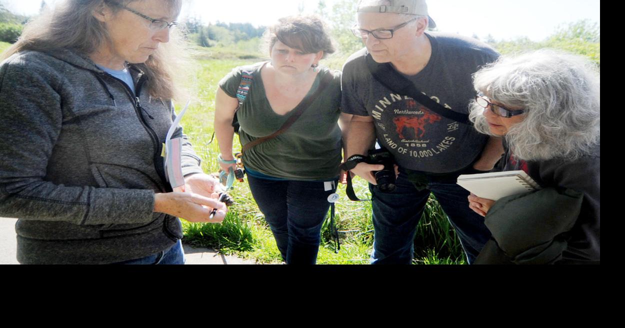 Padilla Bay reserve gives a lesson in native plants | Northwest ...