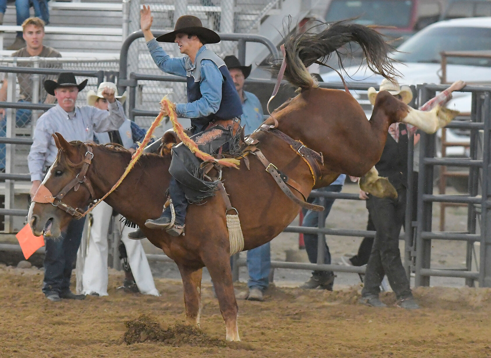 USU rodeo club: Team ropers highlight Aggie college rodeo | Local ...