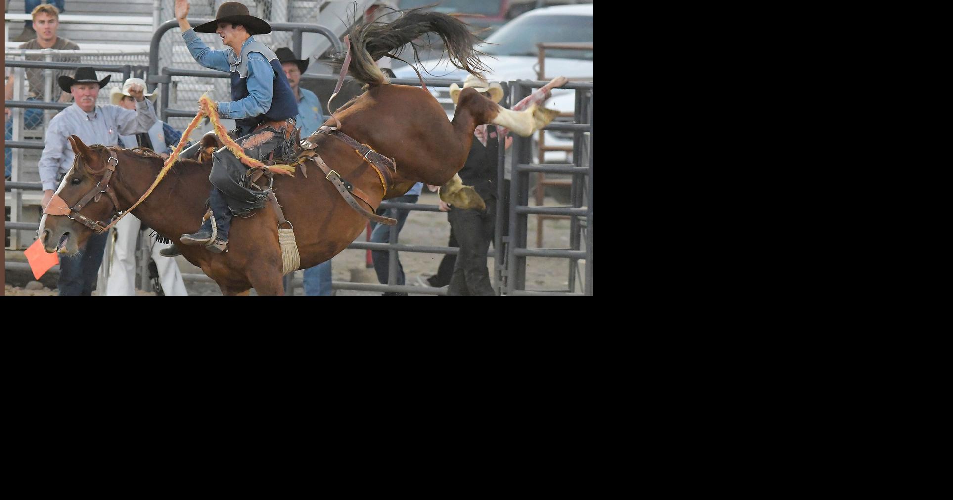 USU rodeo club: Team ropers highlight Aggie college rodeo | Local ...