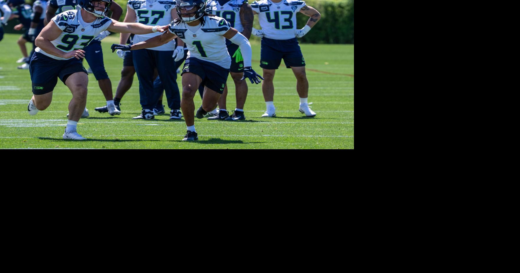 Seahawks Football | National Sports | hjnews.com