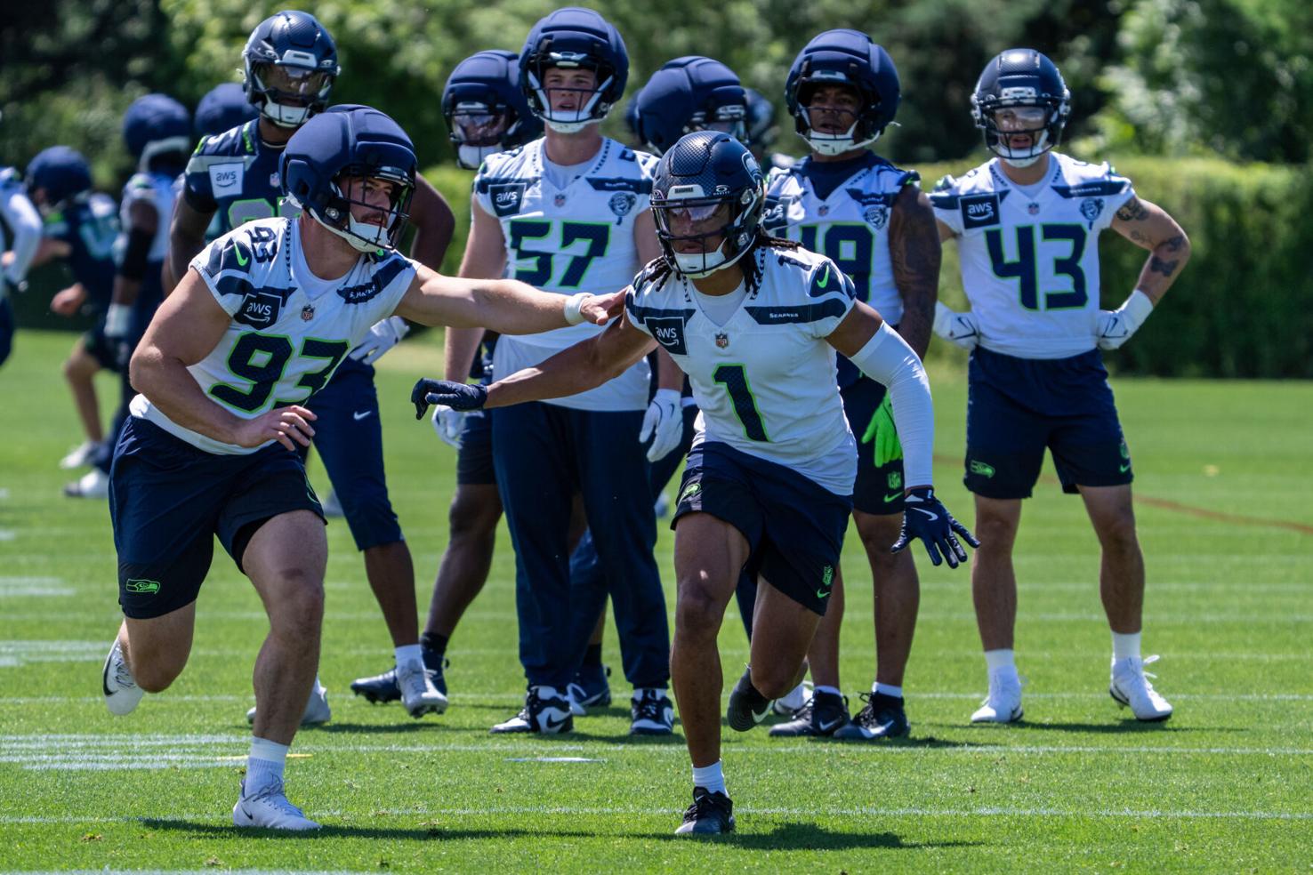 Seahawks Football | National Sports | hjnews.com