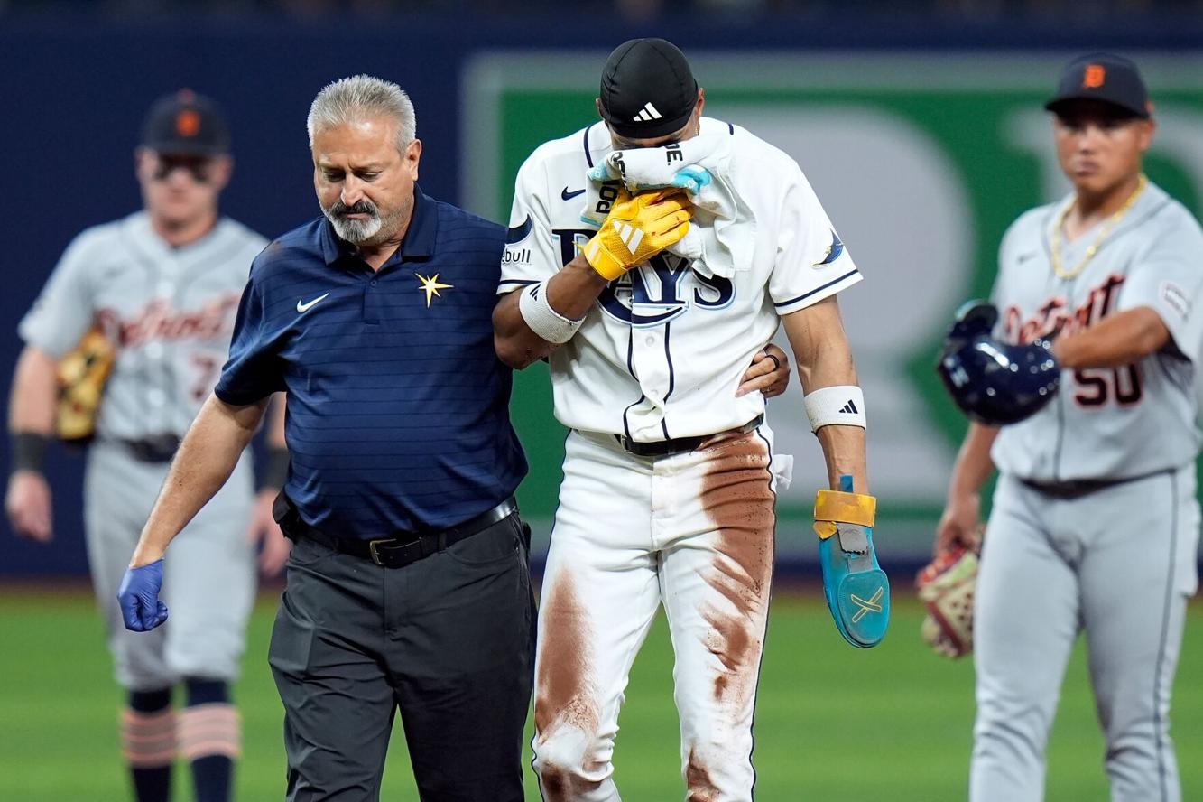 Tigers Rays Baseball | National Sports | hjnews.com