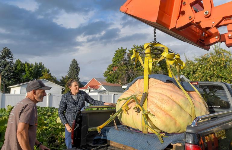 Giant pumpkin grown in Millville for Center Street Giant Pumpkin ...
