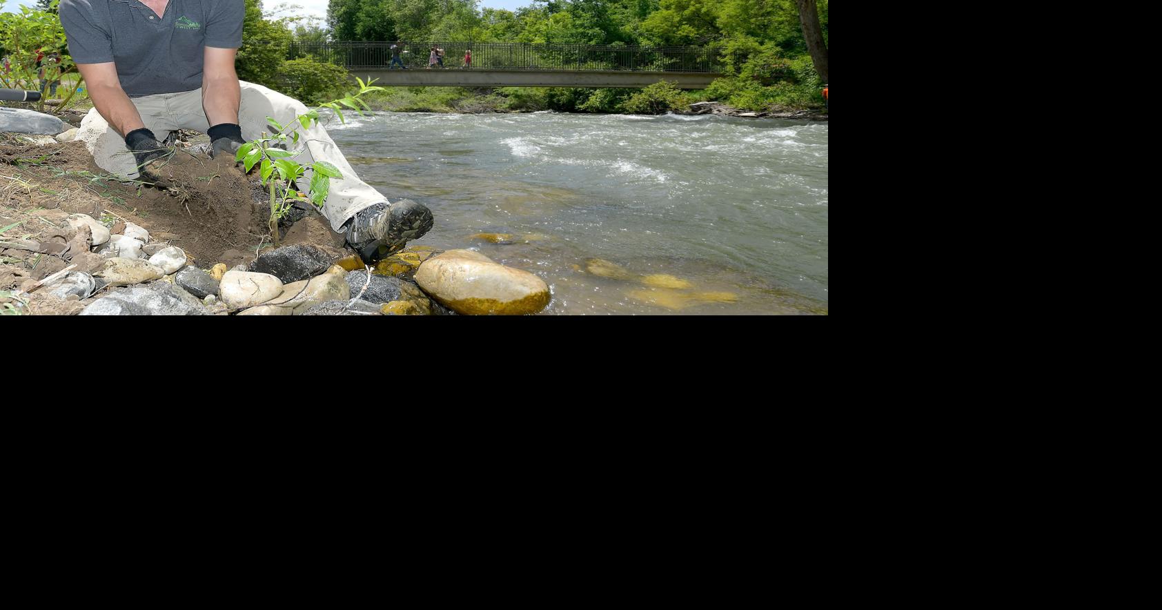 Logan River planting showcases restoration process | Logan Hj | hjnews.com