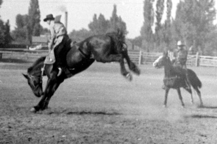 Local cowboy to be inducted into Utah Cowboy Hall of Fame on Friday ...