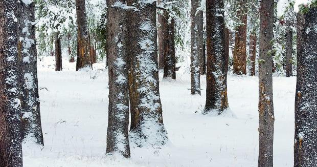 First snowfall of season gives Logan city workers plenty to do ...