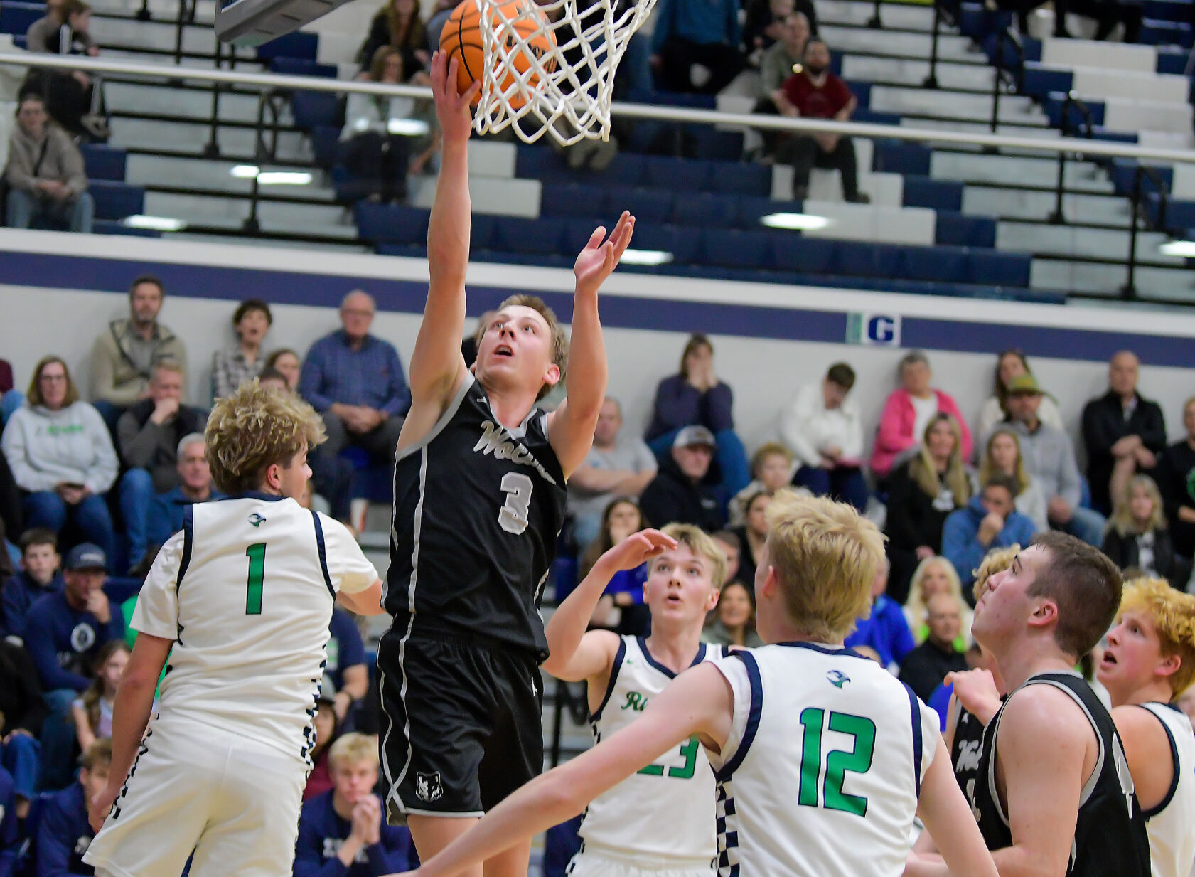 Prep hoops: Wolves, Hawks win big, advance in 4A boys tourney; WS boys ...
