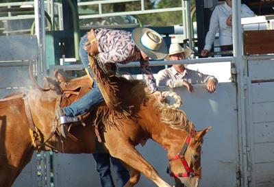 Cowboy suffers broken neck, serious back injury when thrown from horse ...