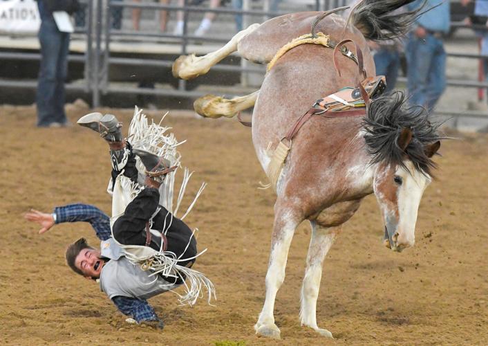 USU rodeo club: Team ropers highlight Aggie college rodeo | Local ...