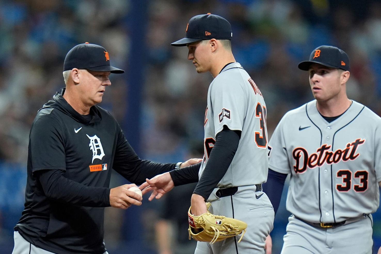 Tigers Rays Baseball | National Sports | hjnews.com