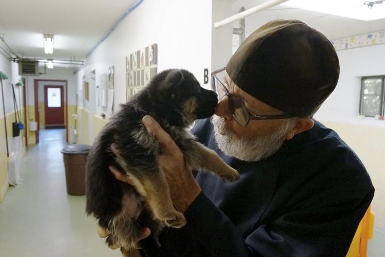 Learning about God from dogs, Orthodox monks breed and train canines in ...