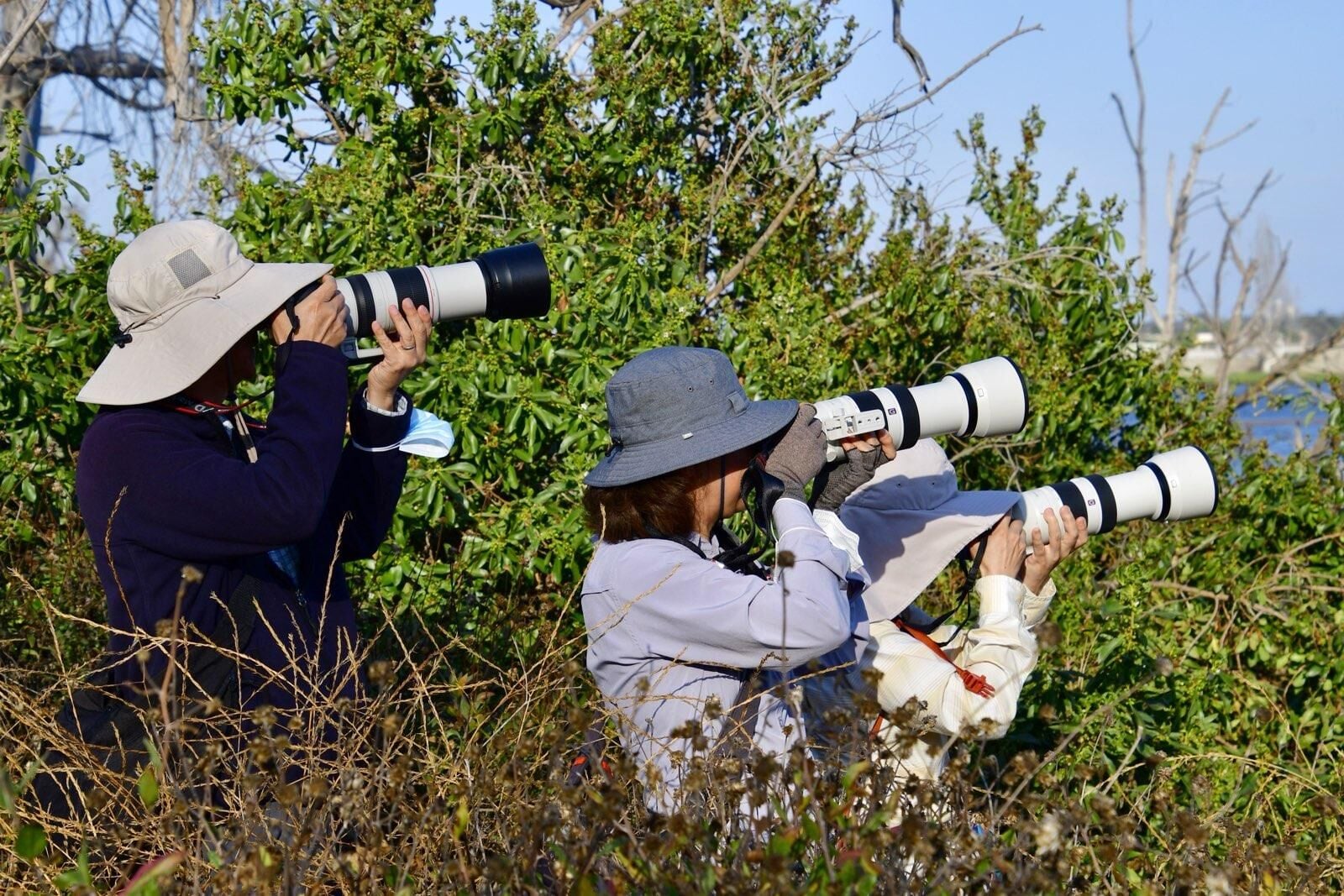 Sharp Shooters Camera Club celebrates 25 years | News-Examiner | hjnews.com