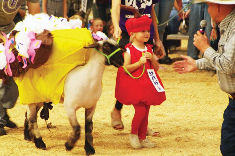 From pirates to banana splits, 2018 Pee Wee lamb show full of fun ...