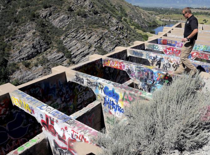 'A lot of time and resources': Logan city spends thousands to remove ...