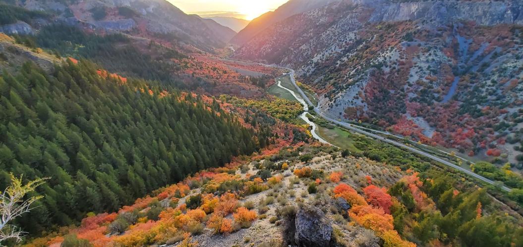 Logan Canyon a true treasure for many | Features | hjnews.com