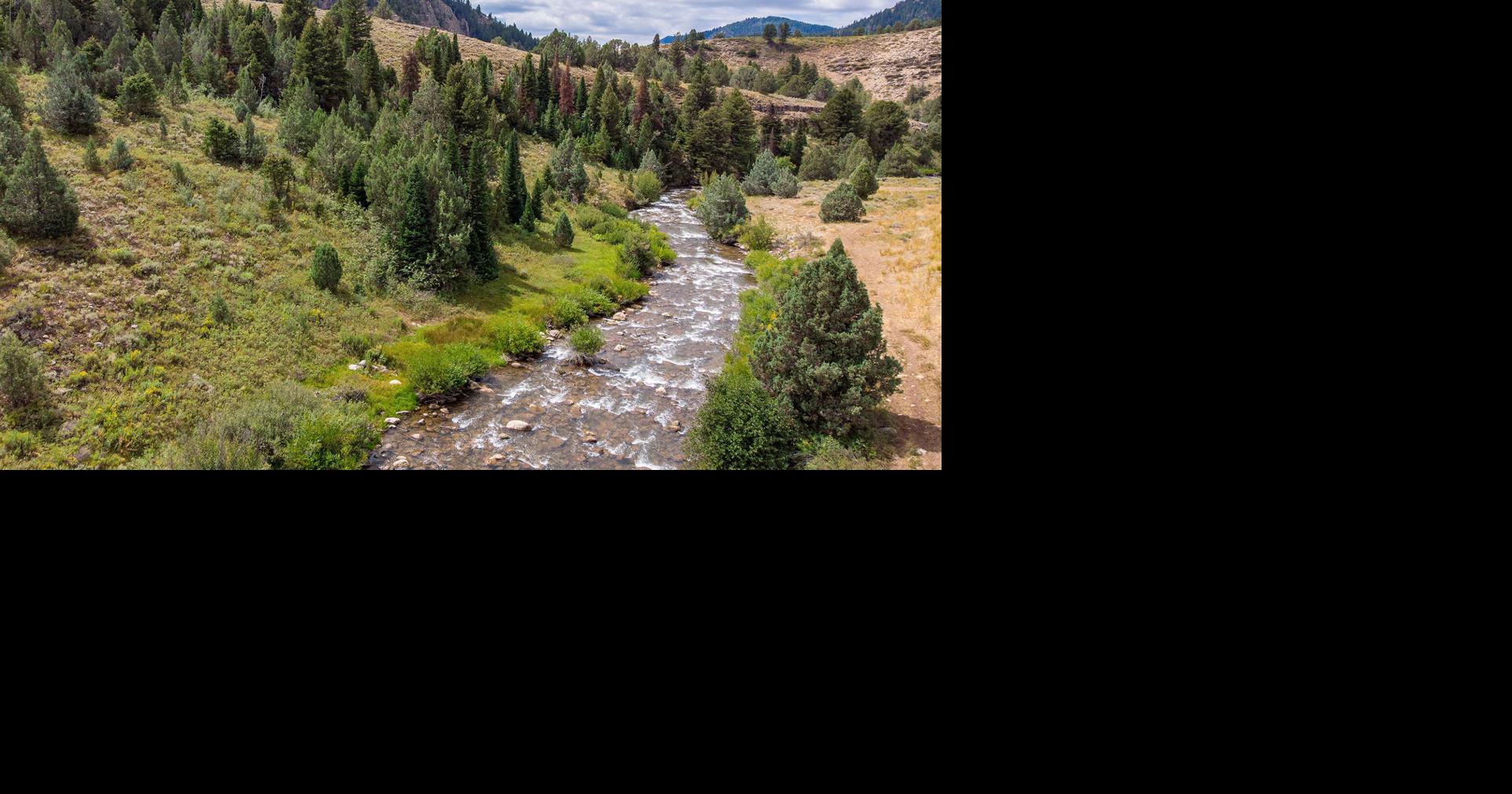 Juniper thinning in Logan Canyon aims to reduce wildfire risk and ...