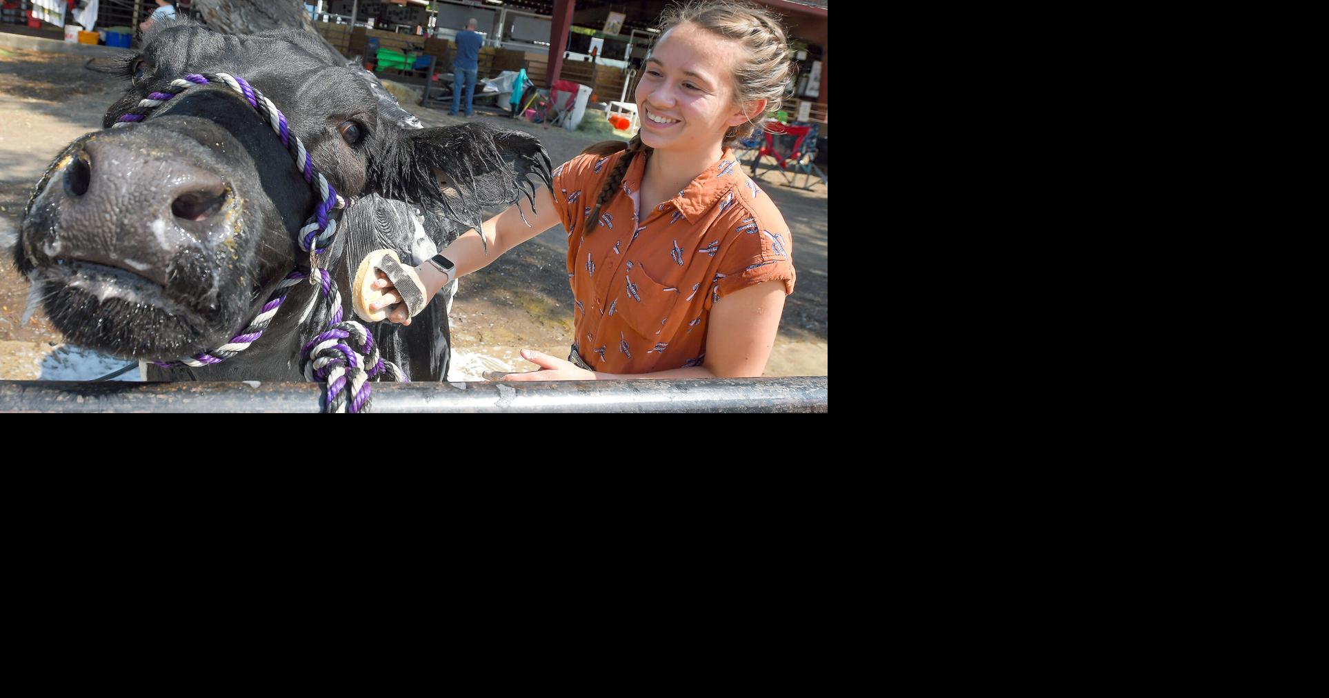 Photo Gallery: Cache County Fair & Rodeo | Multimedia | hjnews.com
