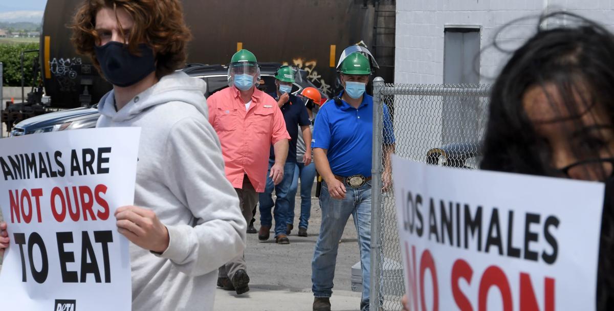 Photo Gallery: PETA Protest | Multimedia | hjnews.com