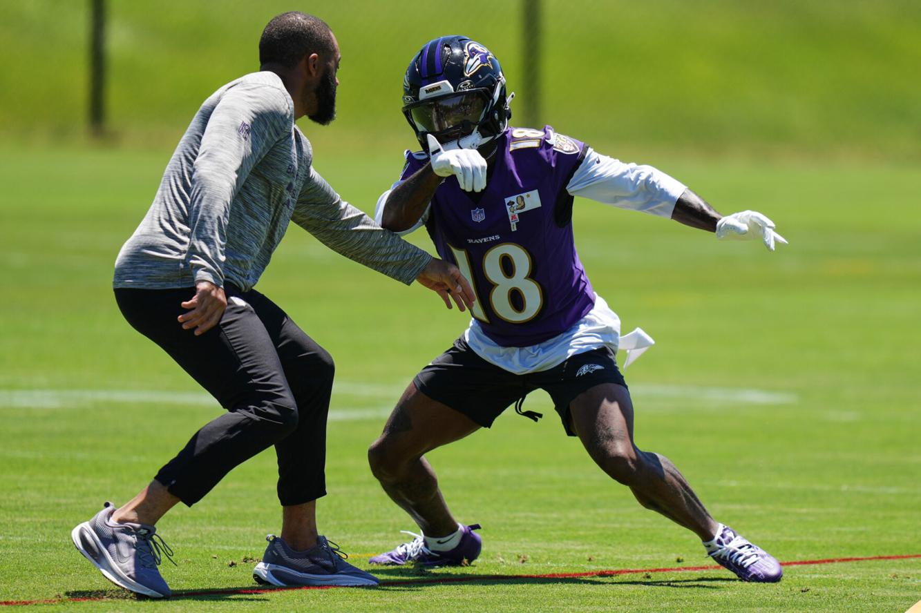 Ravens Football | National Sports | hjnews.com
