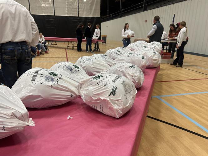Community ‘stuffed’ with support at Box Elder’s Turkey Auction ...