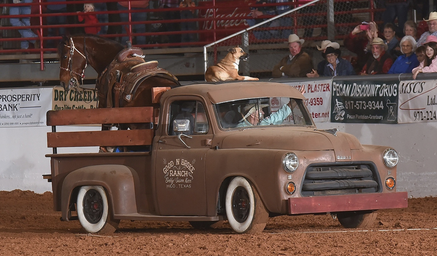 Once wild mustangs featured in specialty act for That Famous Preston ...