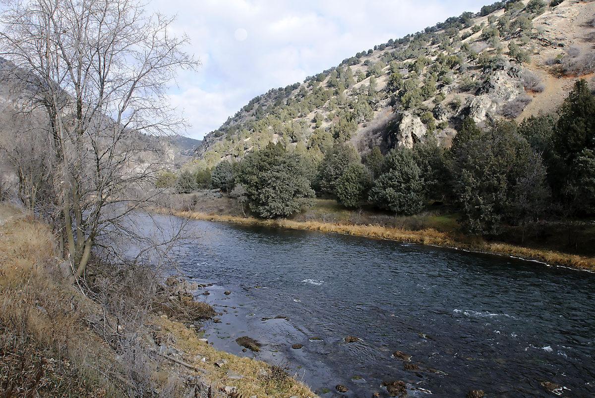 Public opinion divided on Oneida Narrows dam project | The Herald ...