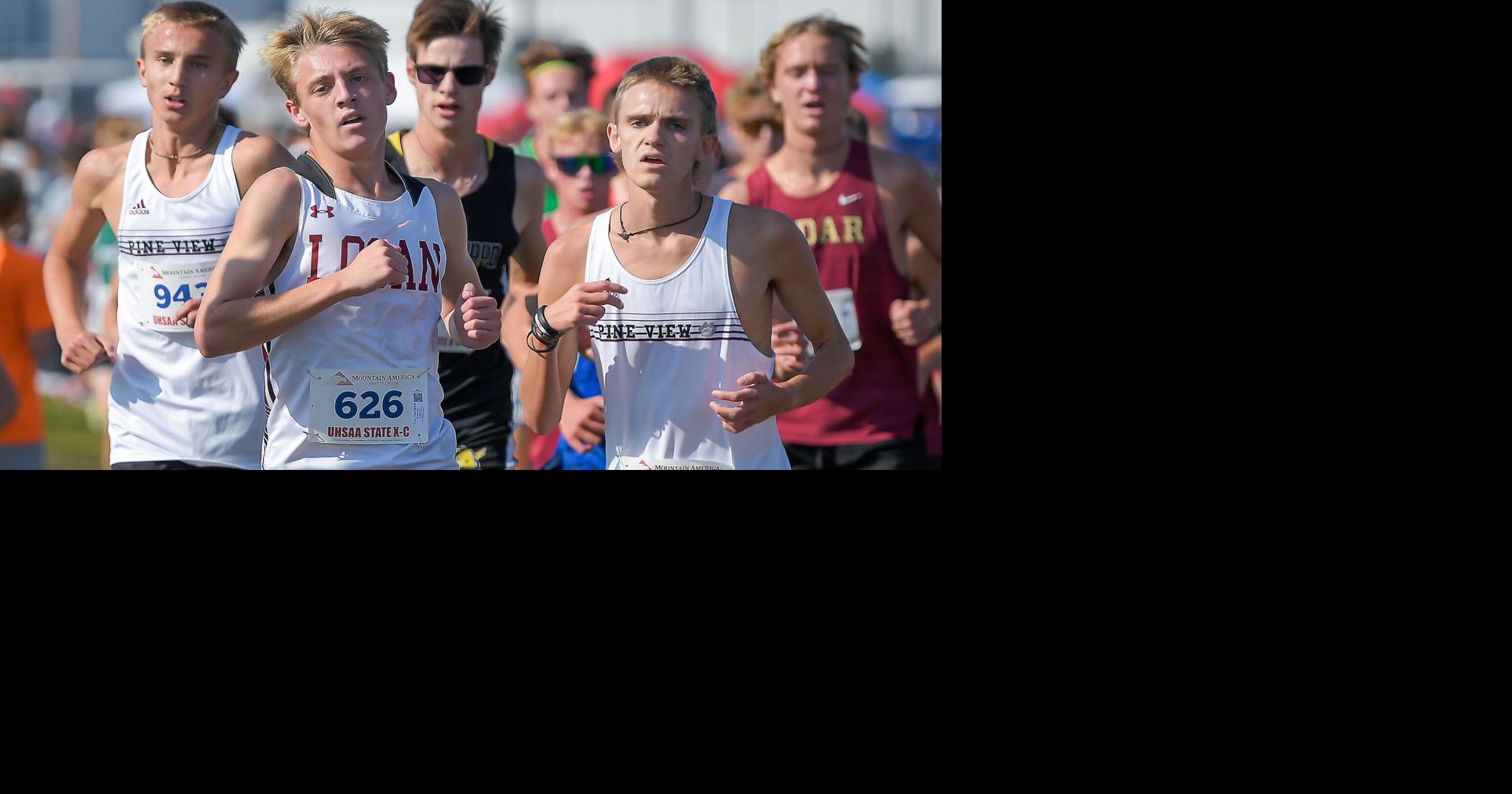 Prep boys cross country: Grizzlies take ninth at state | School Sports ...