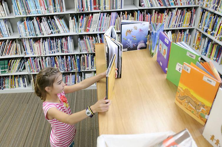 smithfield utah library