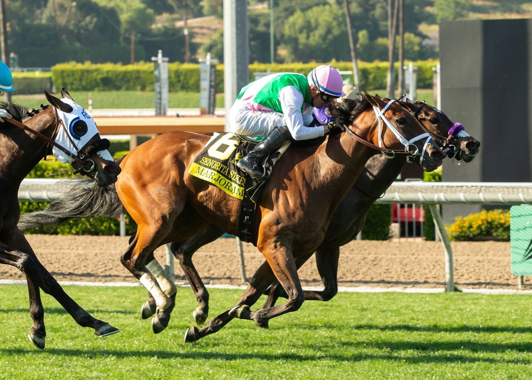 Santa Anita Horse Racing | National Sports | hjnews.com