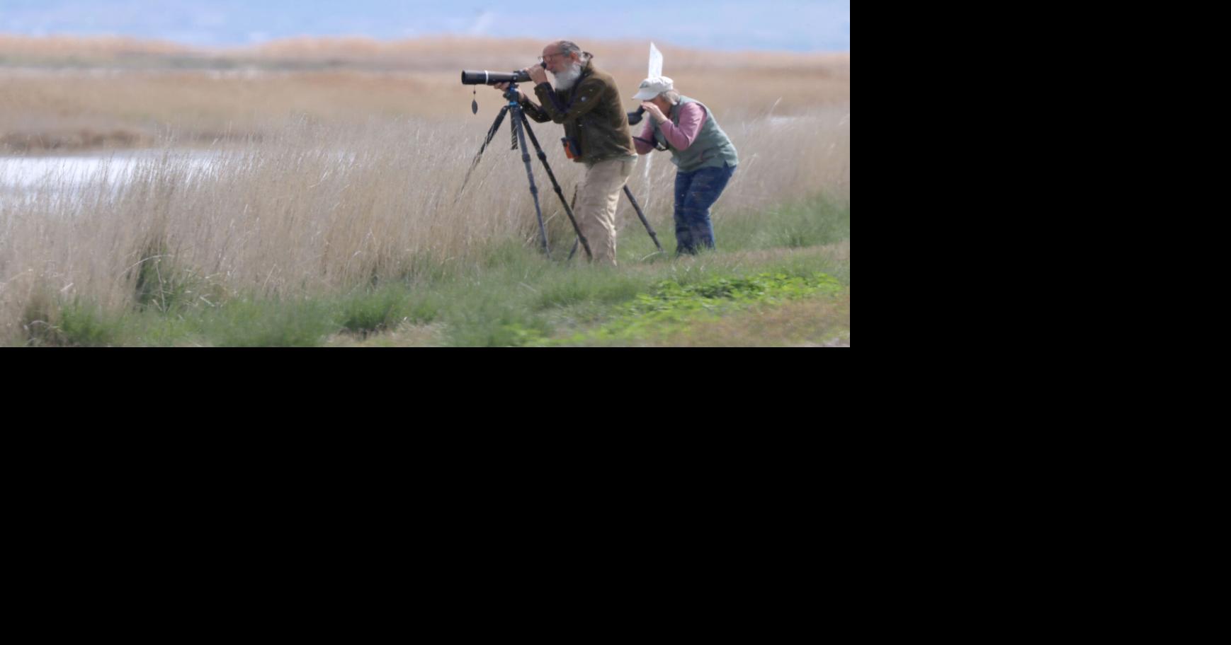 Behind the gates: Bear River bird refuge invites public to explore ...