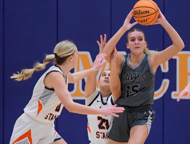 All-Valley Girls Hoops: Nelson played with torn meniscus, led Wolves to ...