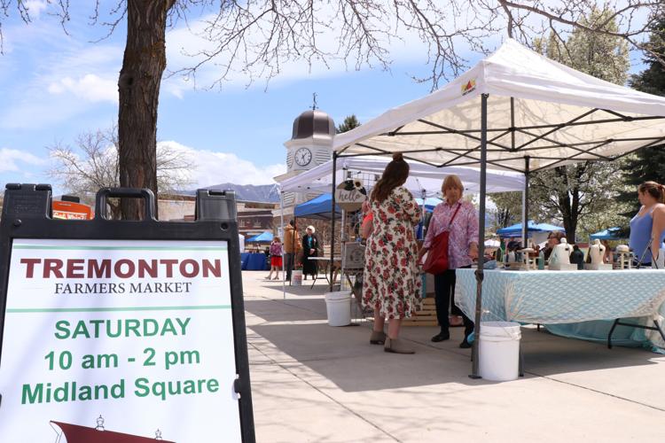 Downtown blooming: Organizers, vendors thrilled with first-ever ...