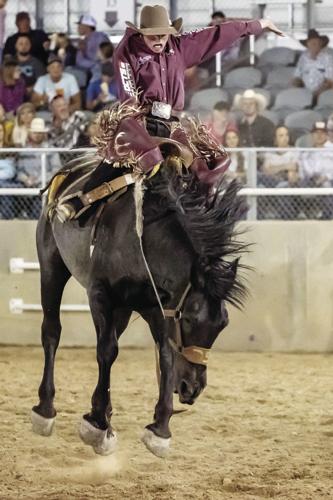 Buck up! Golden Spike Rodeo entertains sold-out crowd at county fair ...