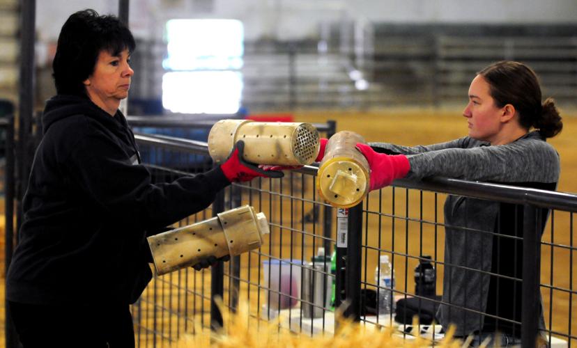 'Barn Hunt' proves popular at AKC show | Logan Hj | hjnews.com