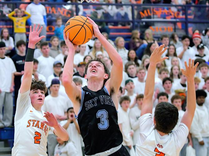 All-Valley Boys hoops: High-flying Bryce was a game changer for Preston ...