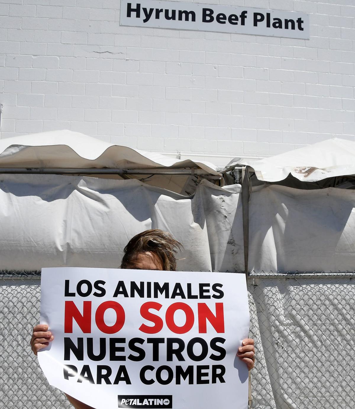 Photo Gallery: PETA Protest | Multimedia | hjnews.com