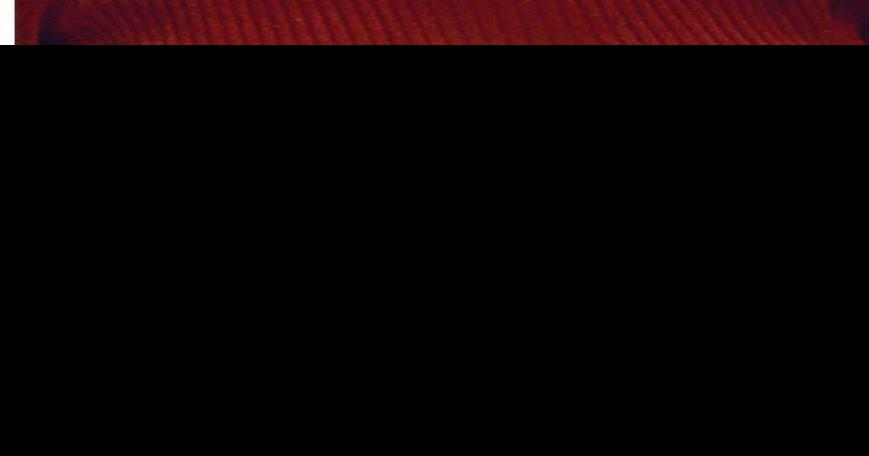 Iris Emily Chamberlain Bingham | News-Examiner | hjnews.com