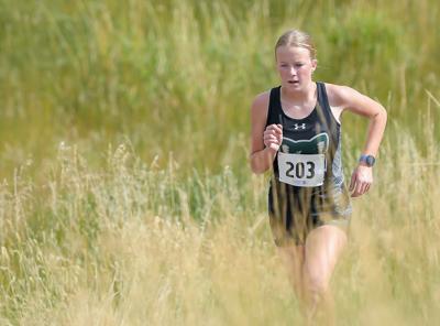 Prep cross country: Wolves, Riverhawks fare well at girls divisional ...