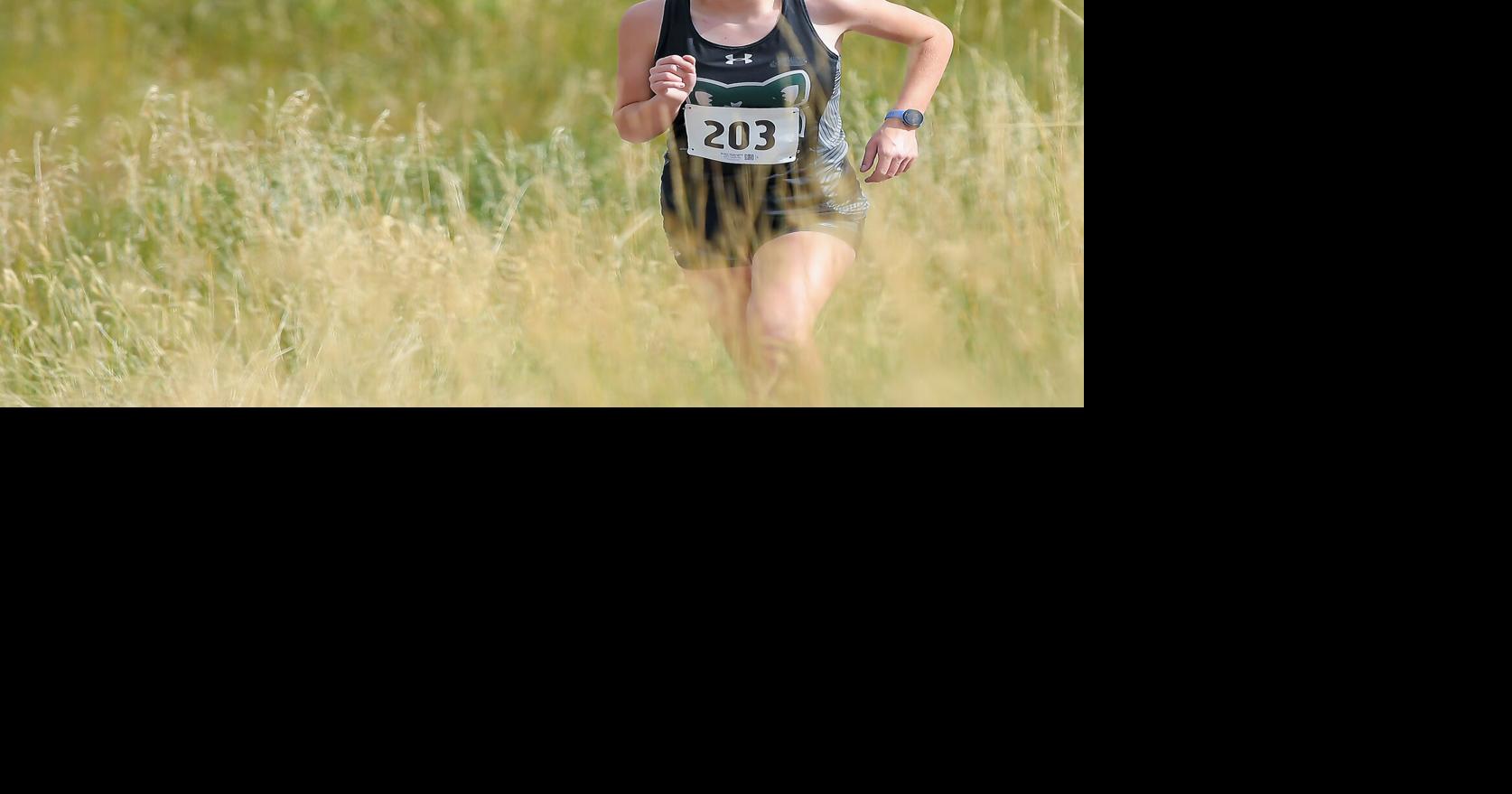 Prep cross country: Wolves, Riverhawks fare well at girls divisional ...