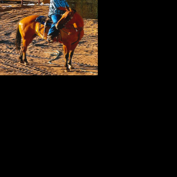 80th Birthday - Wayne Bingham | Announcements | hjnews.com