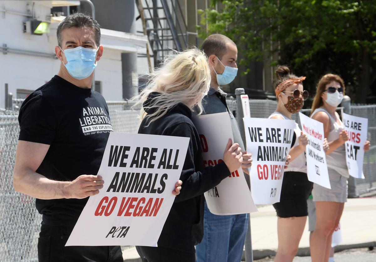 Photo Gallery: PETA Protest | Multimedia | hjnews.com