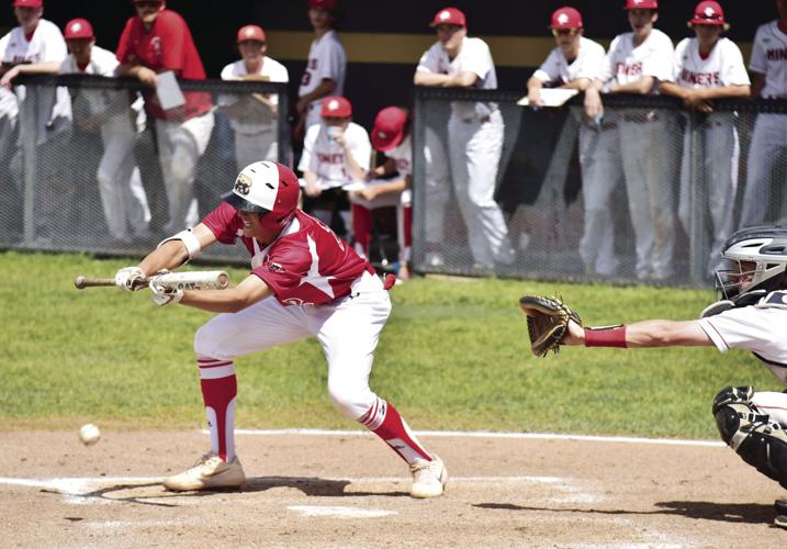 Bear River baseball finishes ’19 season | Tremonton Leader | hjnews.com