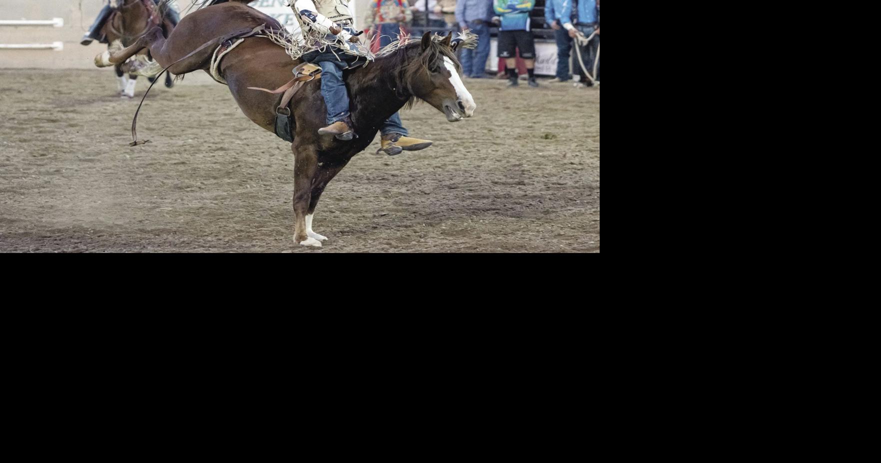 Buck up! Golden Spike Rodeo entertains sold-out crowd at county fair ...