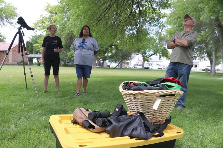 The saga of Stephen Squawking: Chance encounter at Shuman Park spawns ...