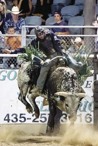 Buck up! Golden Spike Rodeo entertains sold-out crowd at county fair ...
