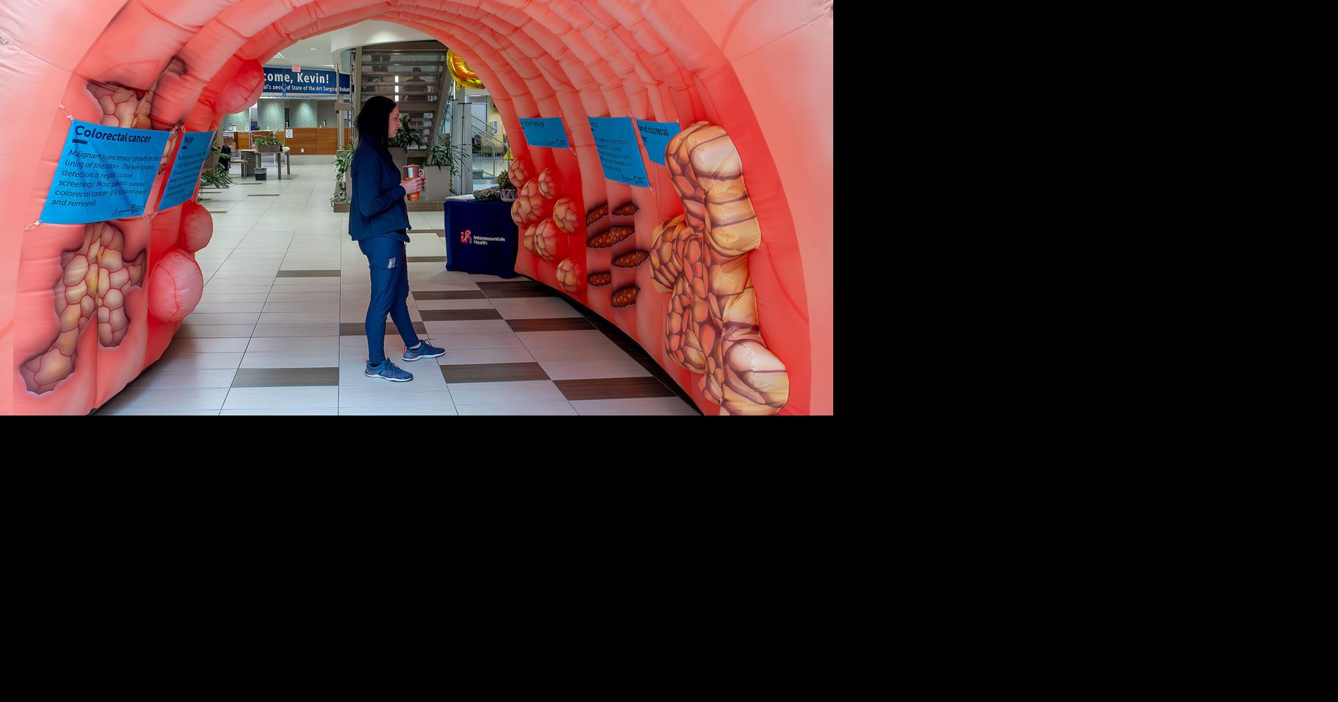 giant inflatable bowel