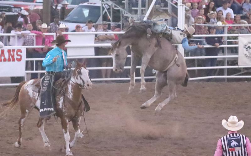 Broncs n' bulls bash at Golden Spike Rodeo | Tremonton Leader | hjnews.com