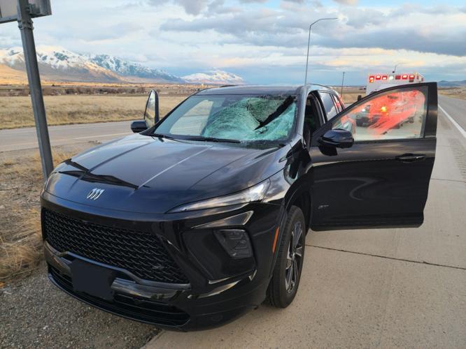 Turkey went through windshield on I-15 in Garland; driver transported ...