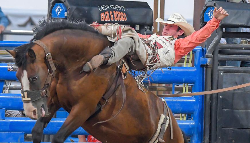 Rodeo: Many top cowboys, cowgirls make stop in Logan | Local Sports ...