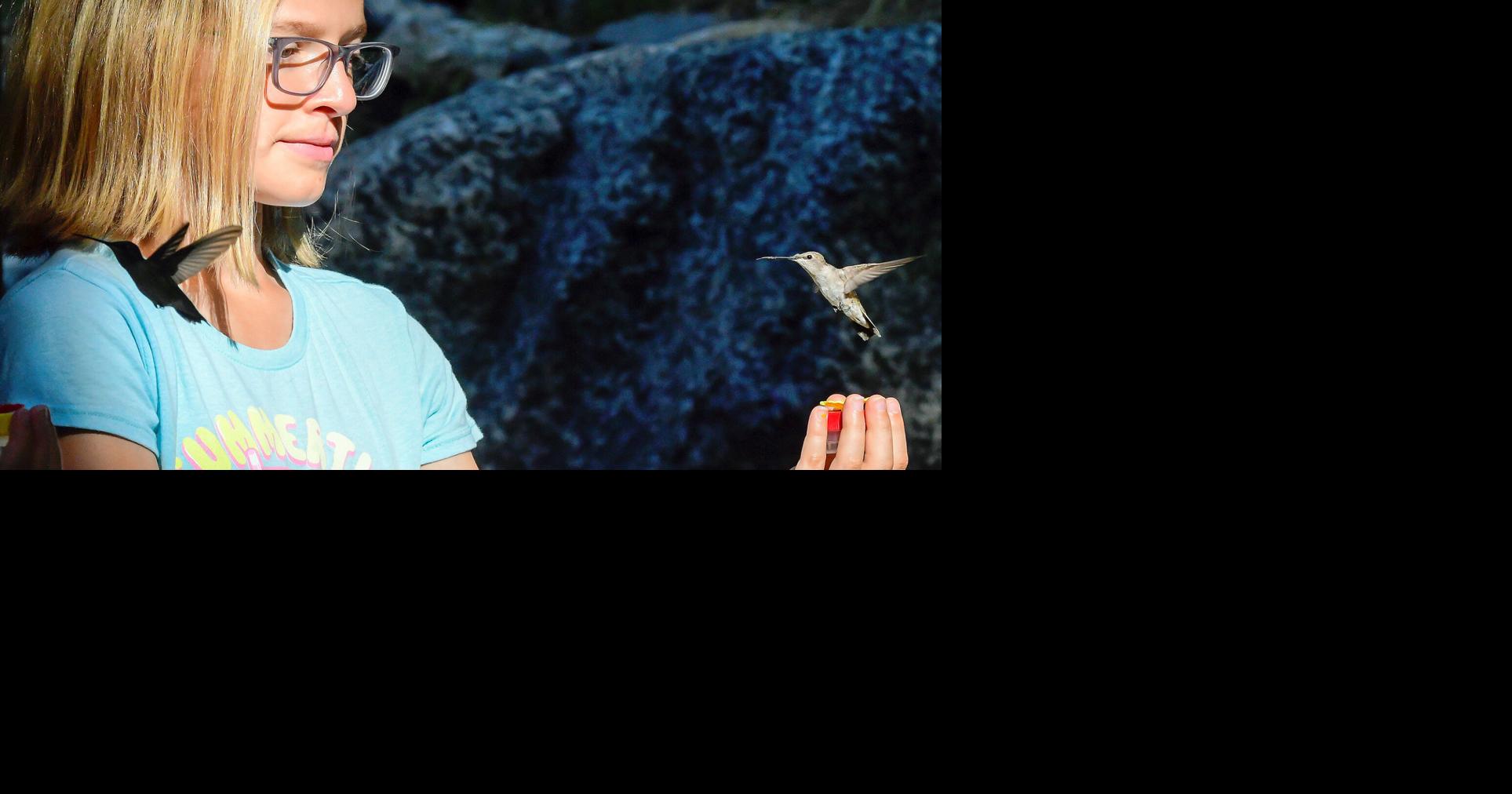 Stokes Nature Center launches Junior Naturalist Program | News | hjnews.com